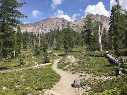 USFS And OCTA Cooperate To Save Trail Artifacts - OCTA